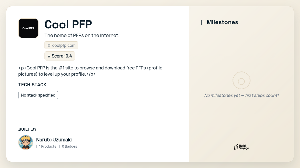 Cool PFP — BuildVoyage